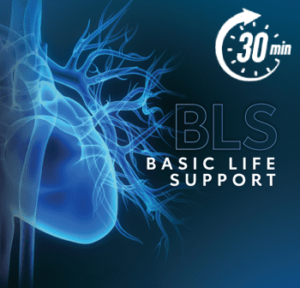 Safety Training Seminars – RQI BLS ACLS PALS Certification Courses